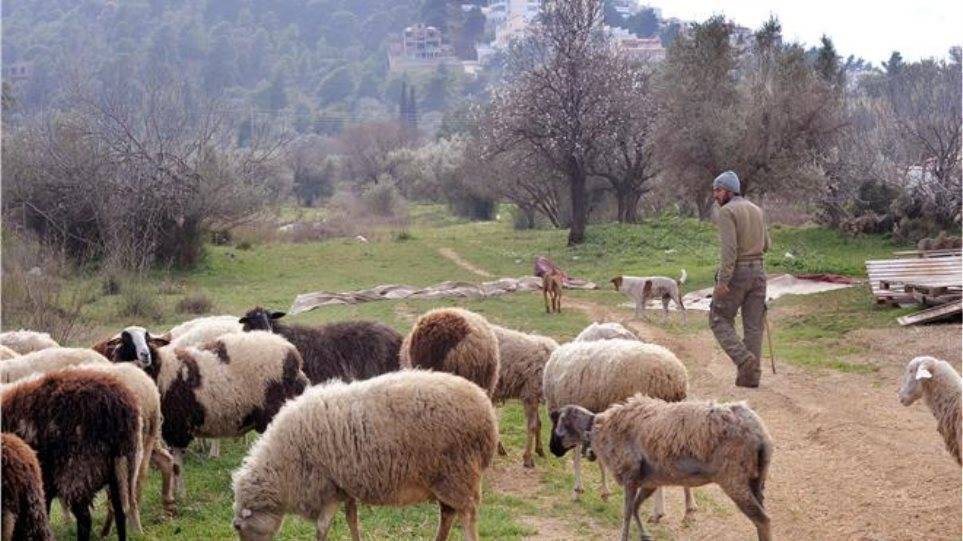 Ανακοίνωση συνεδρίασης της 20/1/2020 σχετικά με την υπό ίδρυση ...