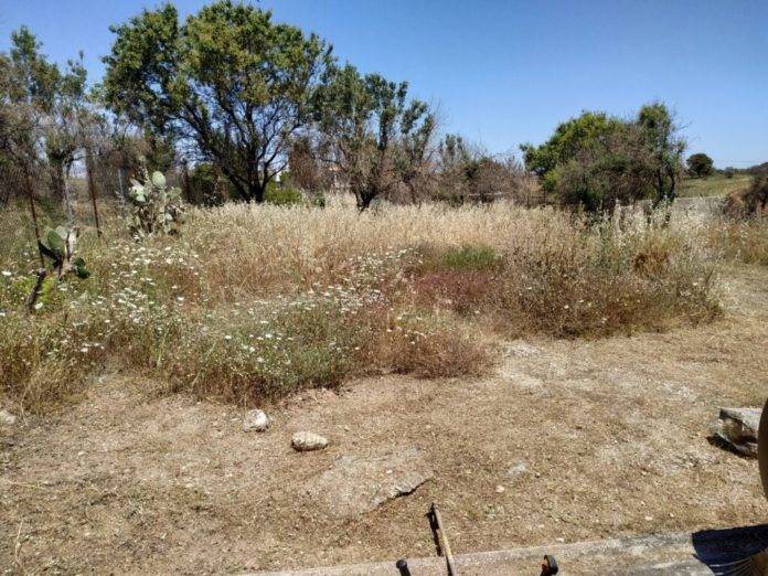 Δήμοι: Υποχρεωτικός ο καθαρισμός οικοπέδων -Πρόστιμο & φυλάκιση για ...