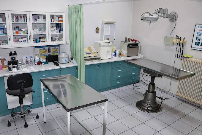 Αντίθετοι στον νόμο για τα ζώα συντροφιάς και οι Κτηνίατροι της Ξάνθης